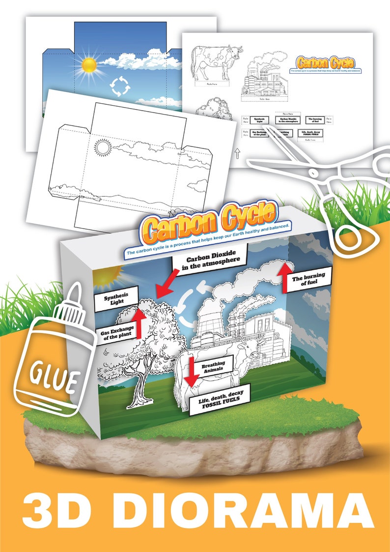 Carbon Life Cycle Diorama, Carbon, Life Cycle Diorama, Digital Download ...