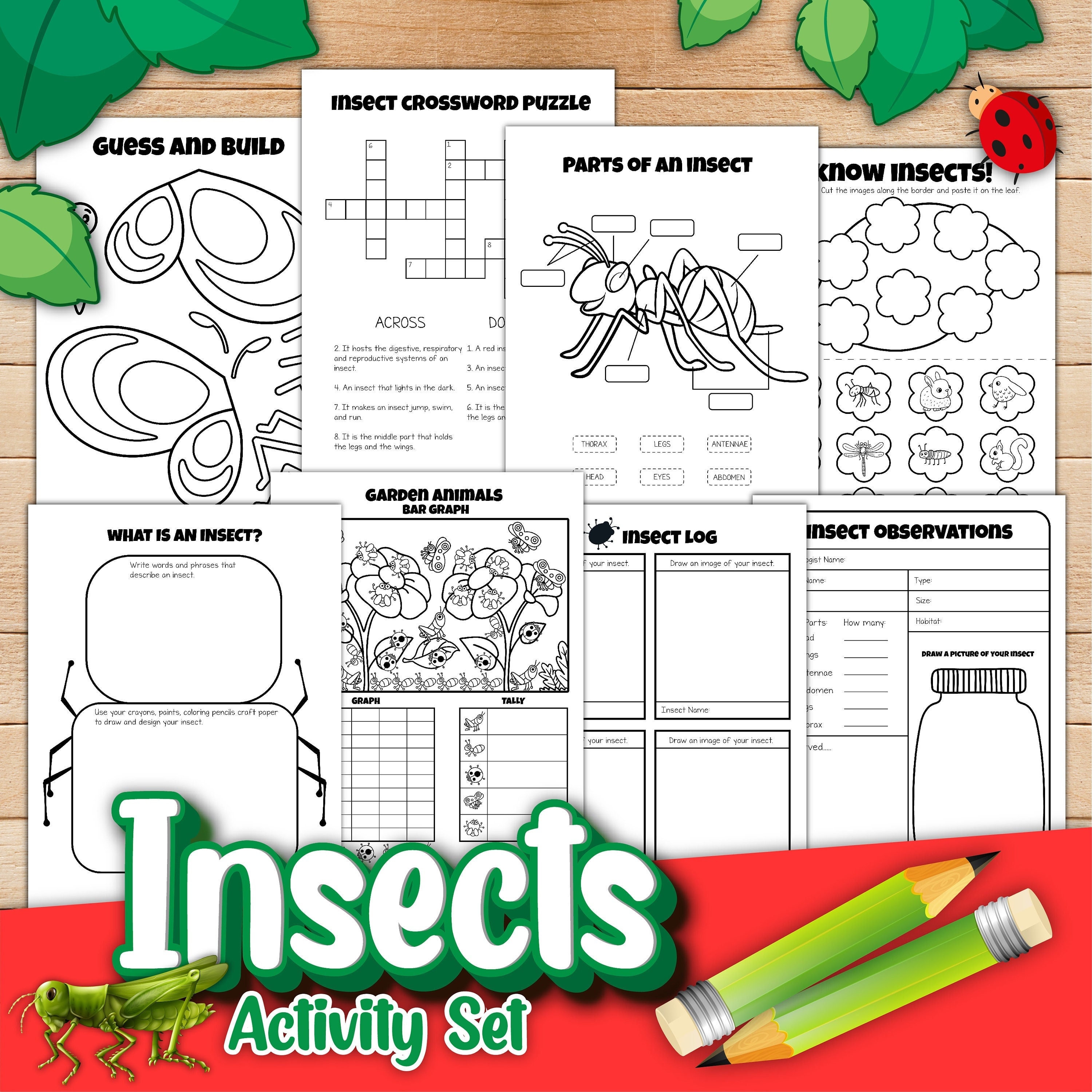 Insect Activity Set, Insects, Digital Download, Printable Download ...