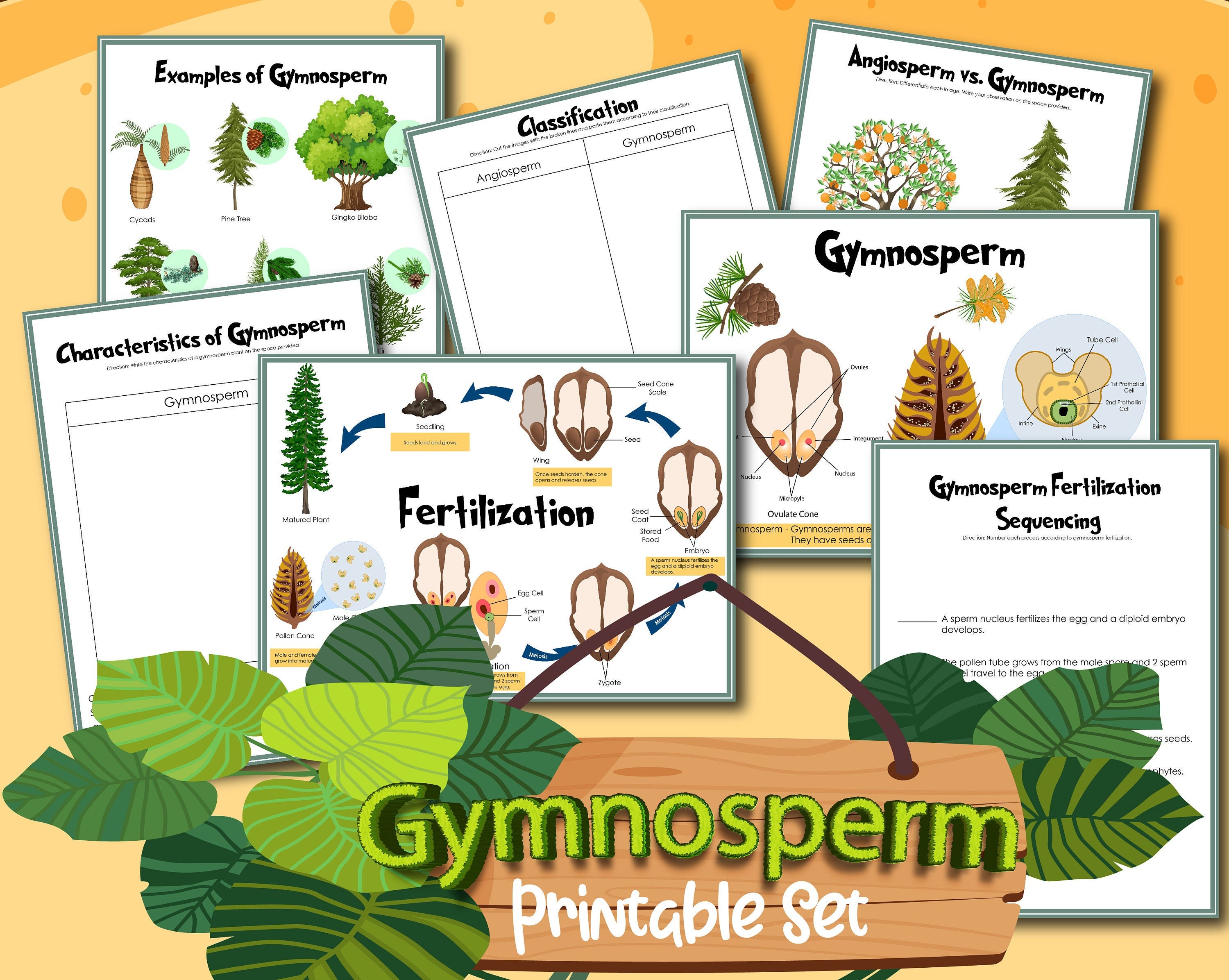 Gymnosperm Activity Set for Kids, Instant Download, STEM Workbook ...