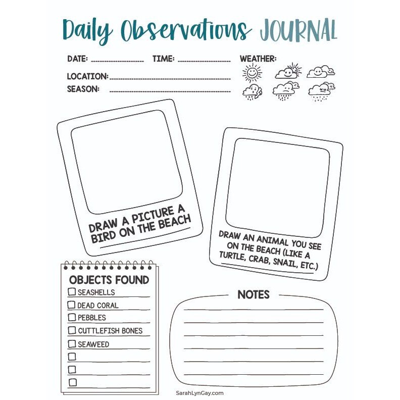 Beach Explorer Journal, Digital Download, Beach Worksheet, Beach Lesson ...