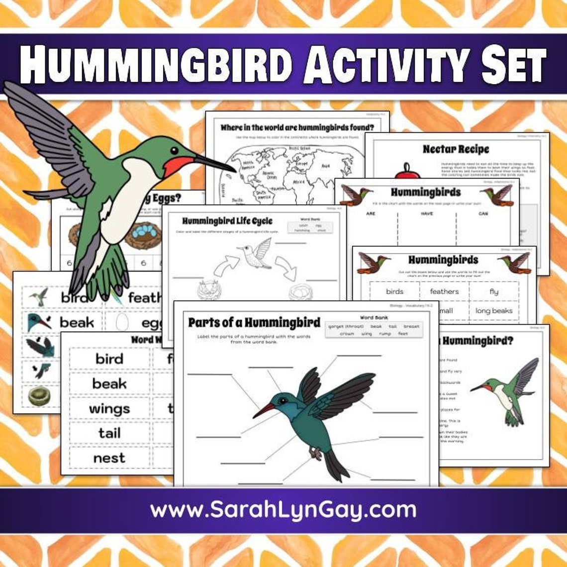Hummingbird Life Cycle, Instant Download STEM Workbook, Digital ...