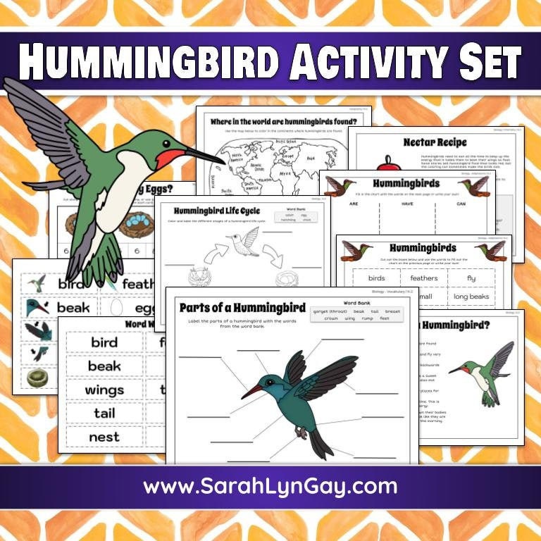Hummingbird Life Cycle, Instant Download STEM Workbook, Digital ...