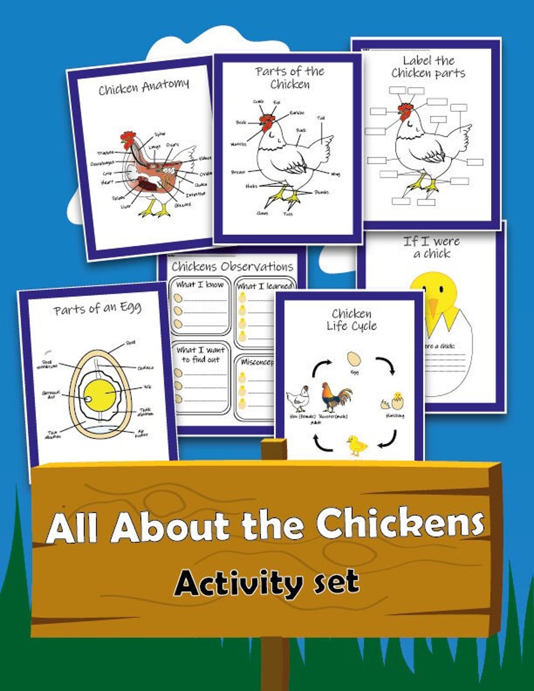 Chickens, Chicken Life Cycle, Instant Download, STEM Workbook, Digital ...
