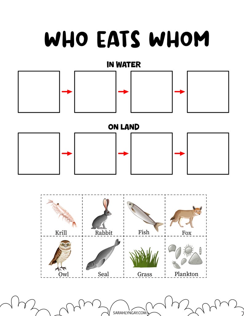 Food Chain Printable Set Food Chain Printable Download - Etsy