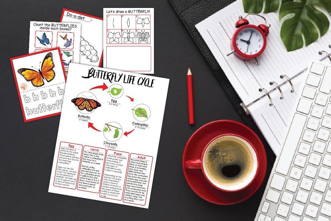 Butterfly Workbook, Instant Download, STEM Workbook, Digital Download ...