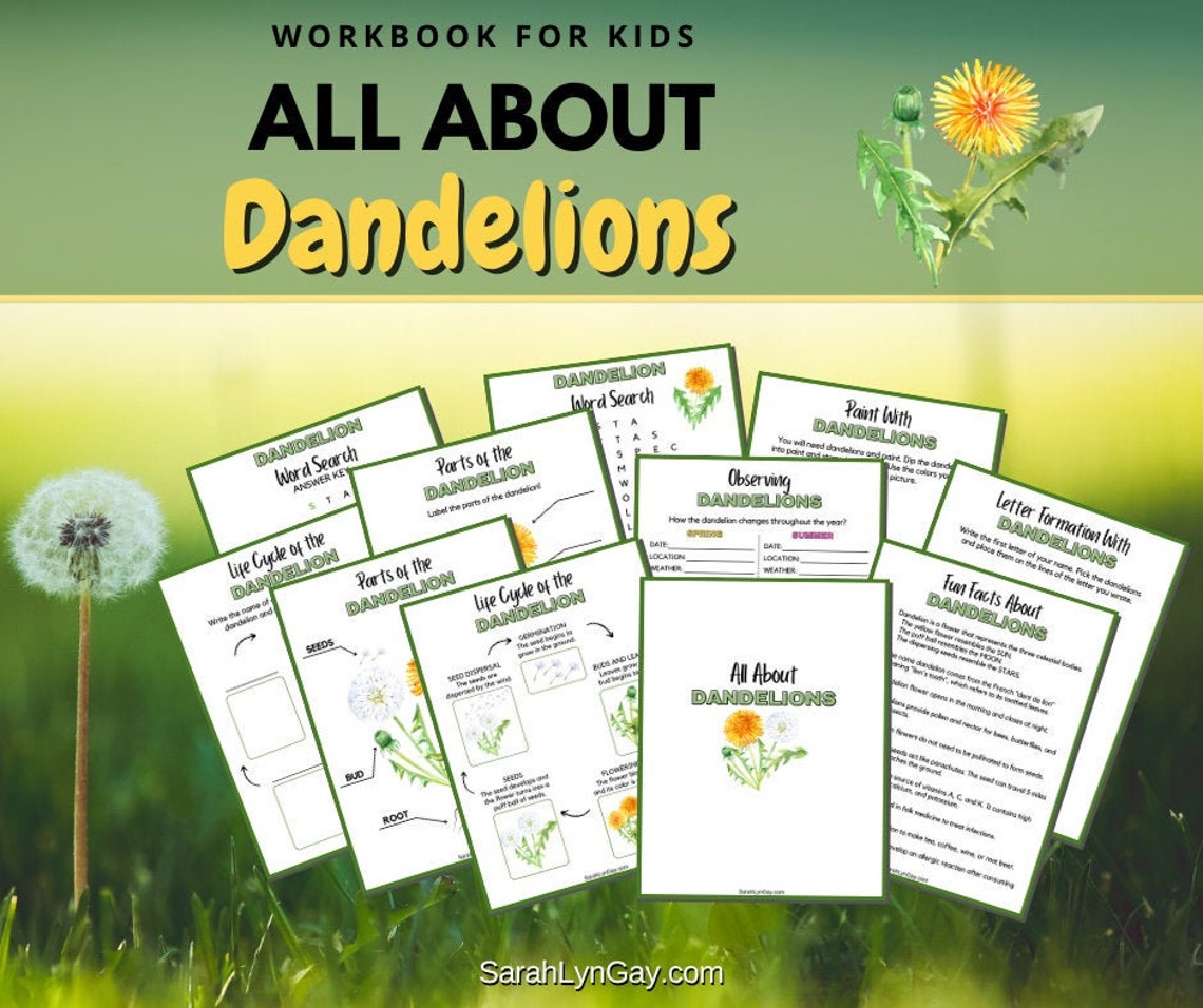 Dandelions, Dandelion Life Cycle, Instant Download, Digital Download ...