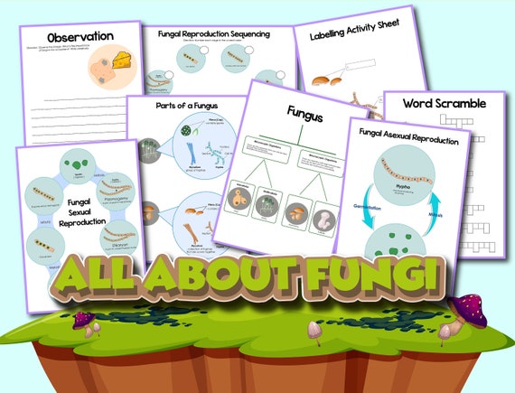 All About Fungi Activity Set for Kids Instant Download STEM | Etsy