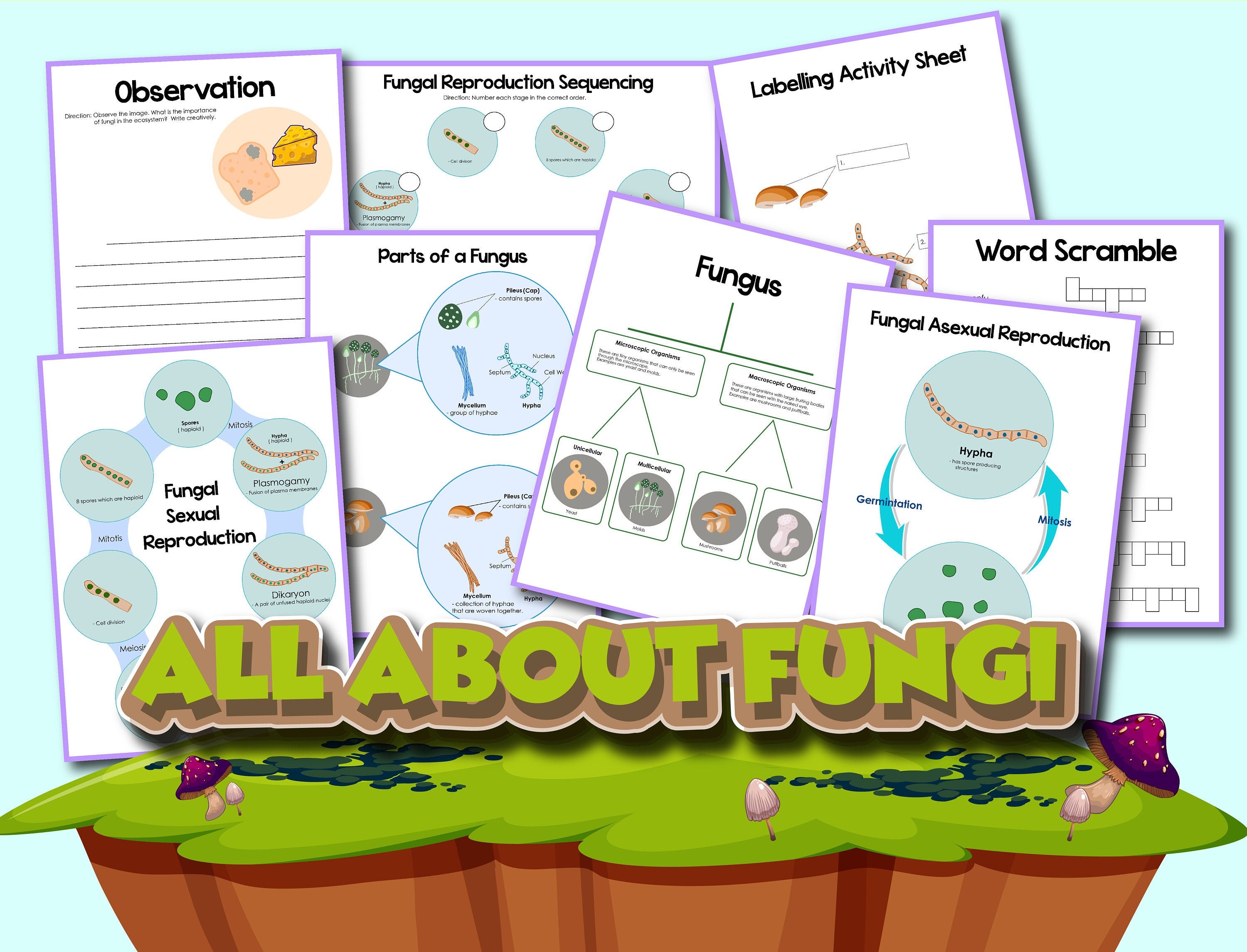 All About Fungi Activity Set for Kids, Instant Download, STEM Workbook ...