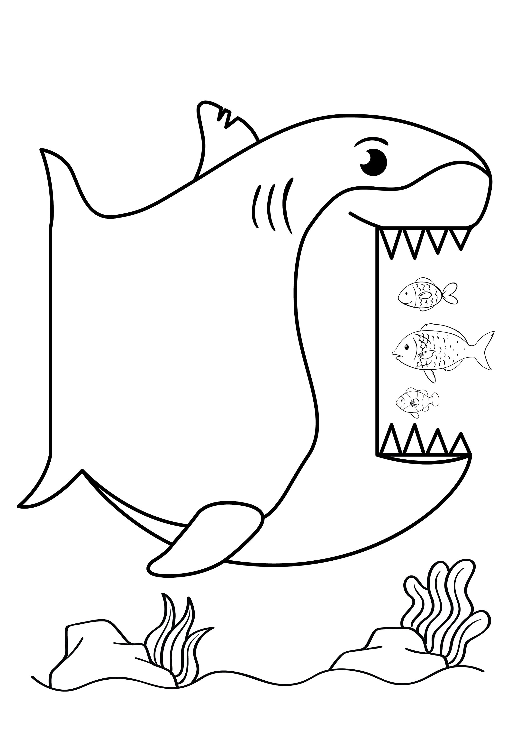 Shark Life Cycle Foldouts, Sharks, Digital Download, Printable Download ...