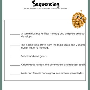 Gymnosperm Activity Set for Kids, Instant Download, STEM Workbook ...