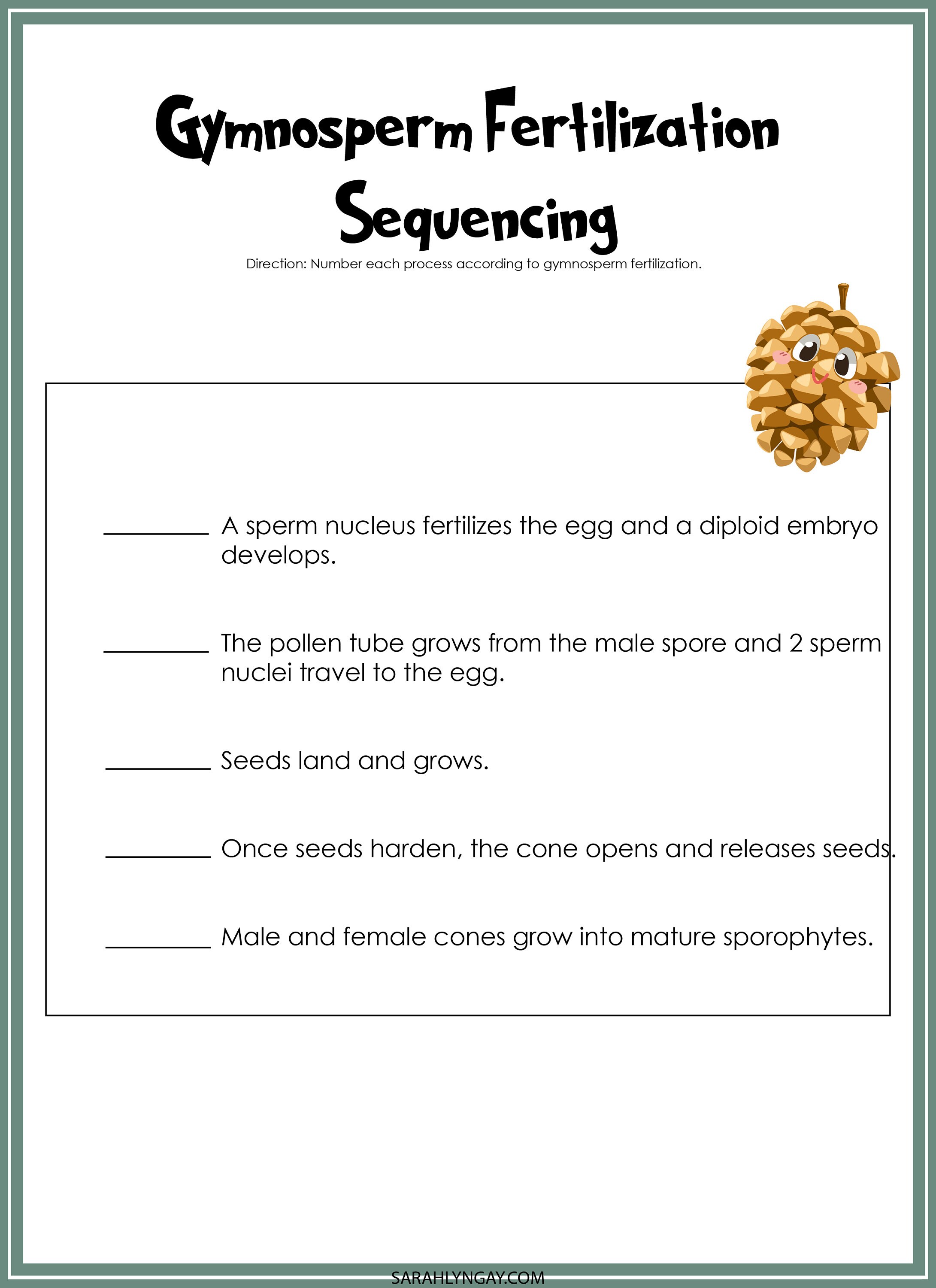 Gymnosperm Activity Set for Kids, Instant Download, STEM Workbook ...