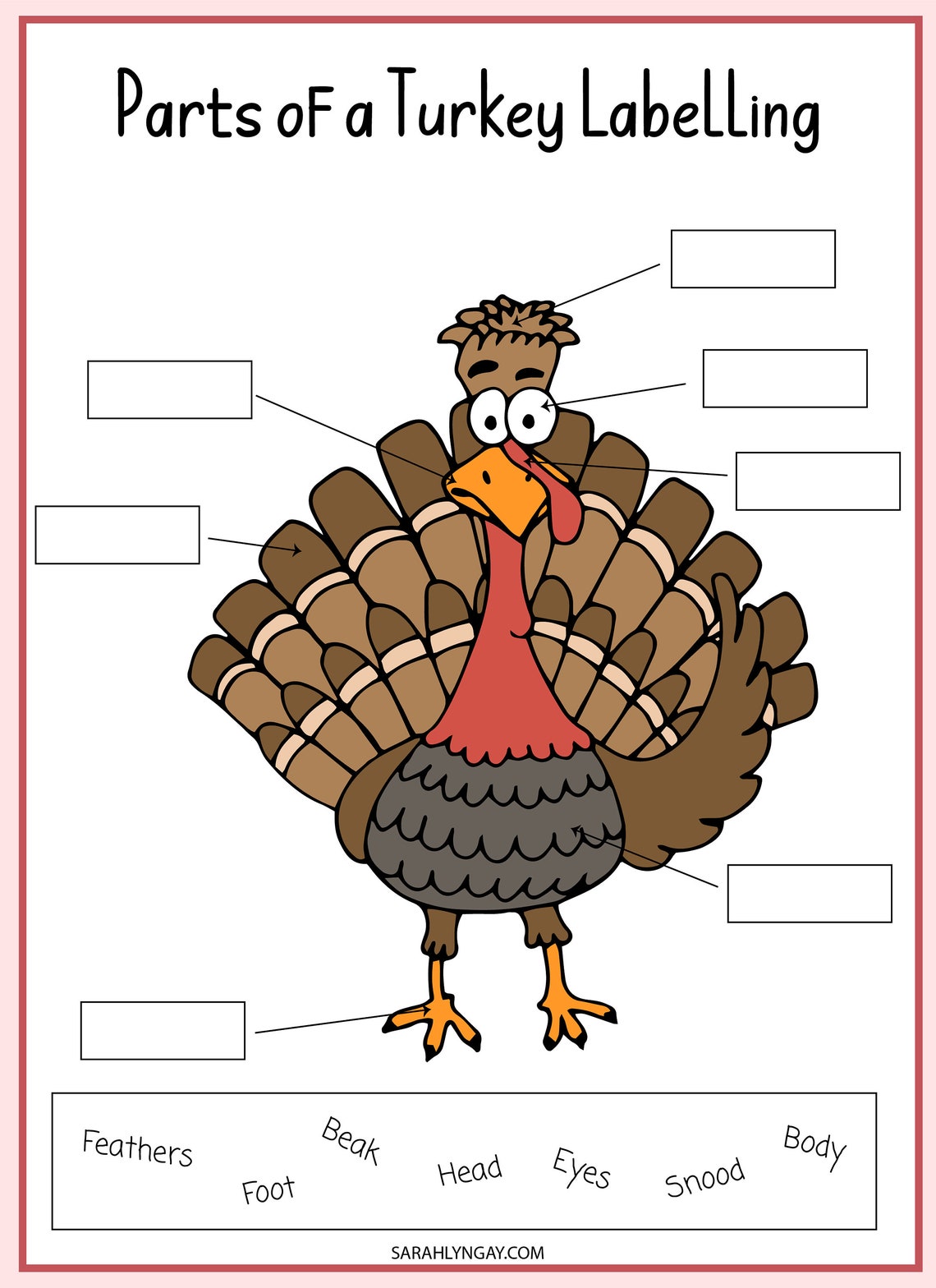 Turkey Life Cycle, All About Turkeys, Parts of a Turkey, Instant ...