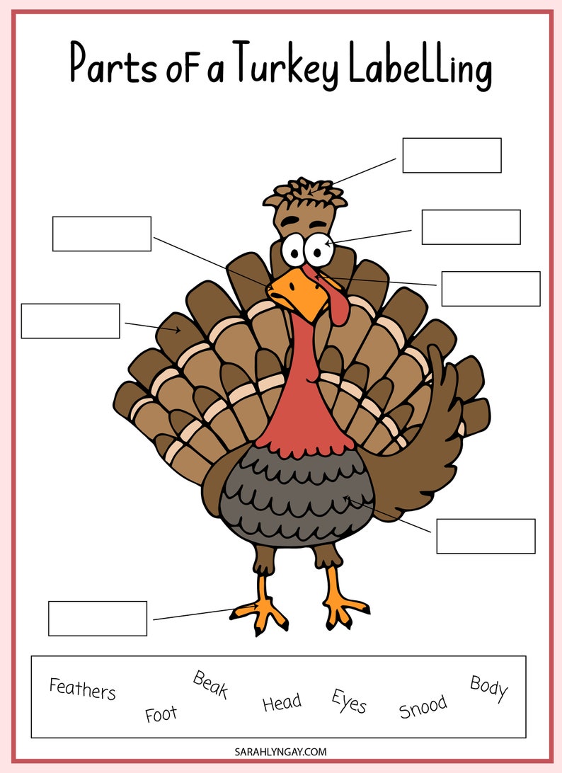 Turkey Life Cycle, All About Turkeys, Parts of a Turkey, Instant ...