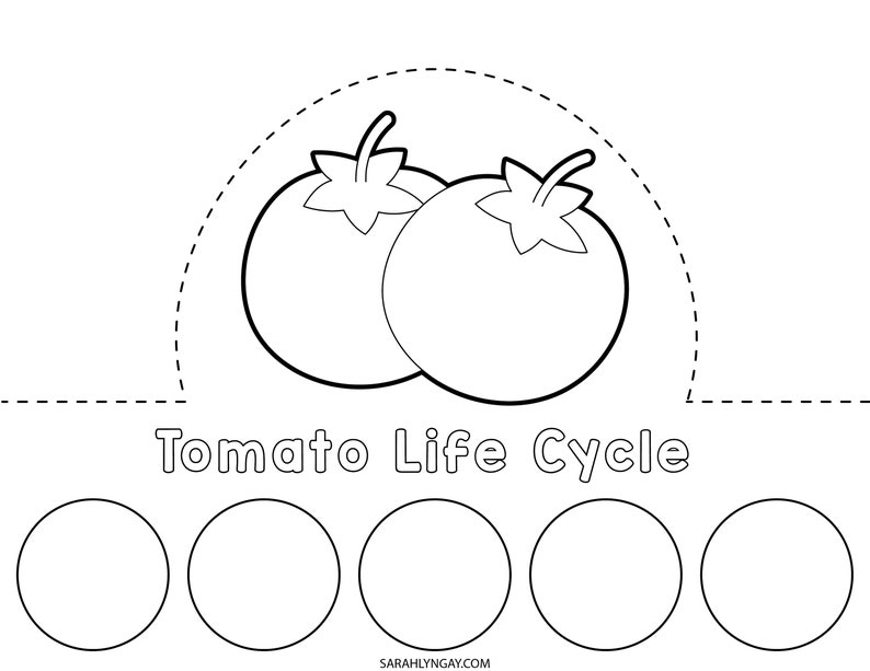 Plant Life Cycle Hats, Plant Life, Plants, Digital Download, Instant ...
