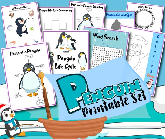 Penguin Printables Penguin Life Cycle Birds All About | Etsy