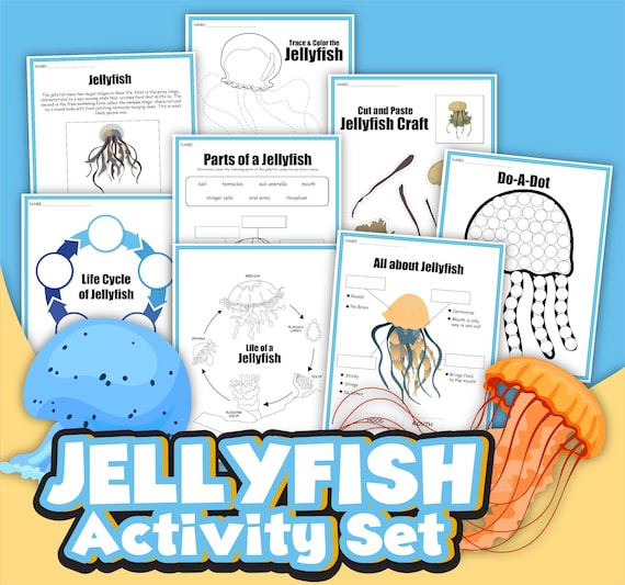 Jellyfish Life Cycle instant download STEM workbook digital | Etsy