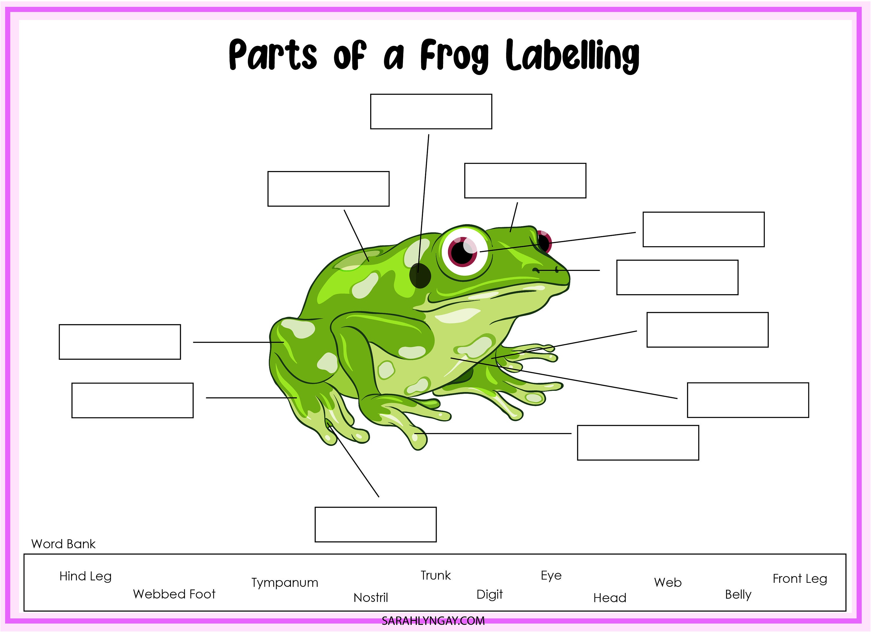 All About Frogs Kids Set, Frogs, Instant Download, Digital Download ...