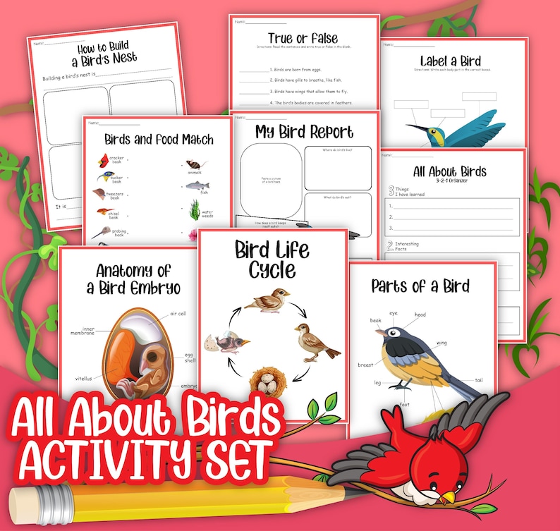 Bird Life Cycle, Birds, All About Birds, Instant Download, STEM ...