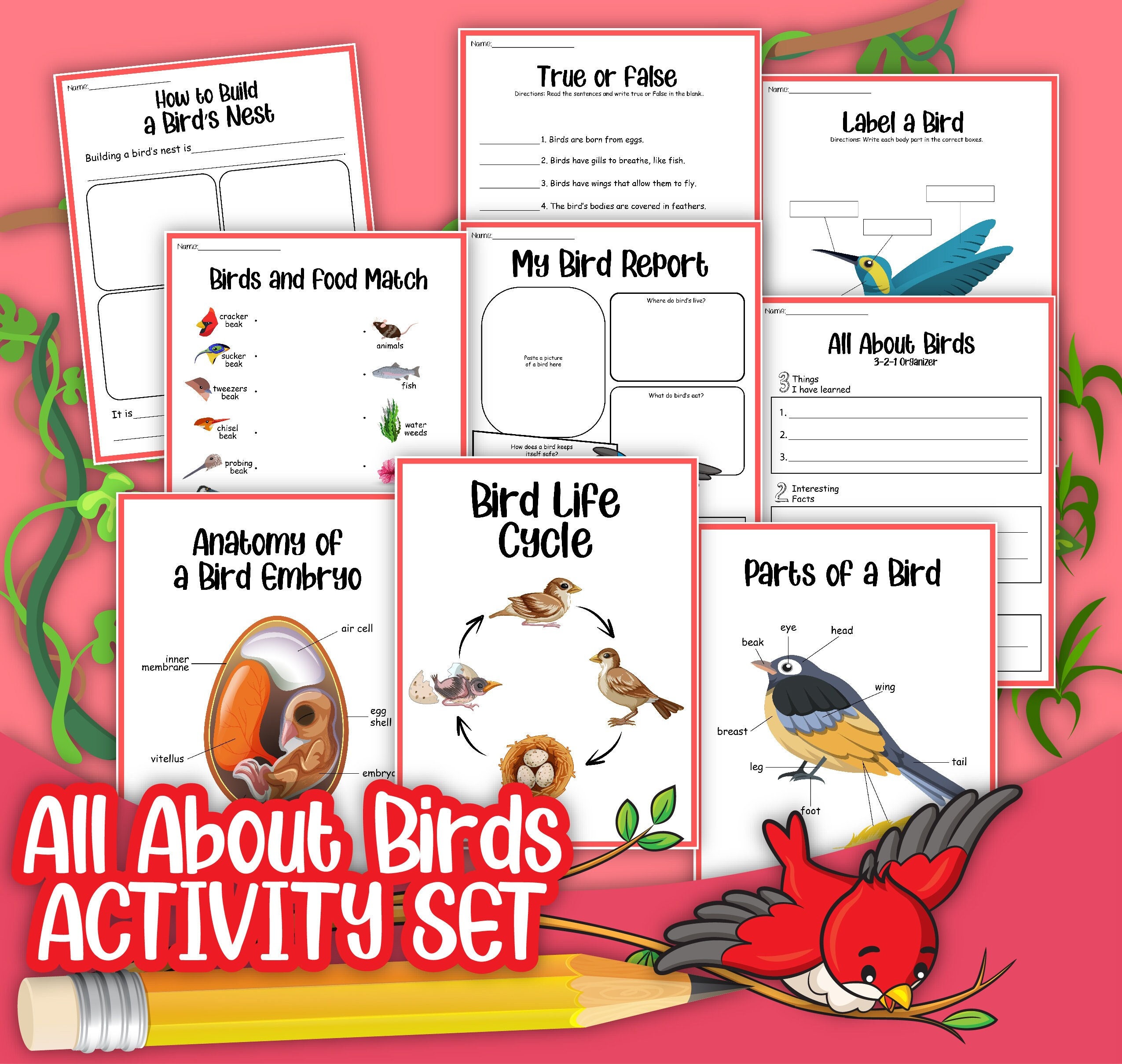 Bird Life Cycle, Birds, All About Birds, Instant Download, STEM ...