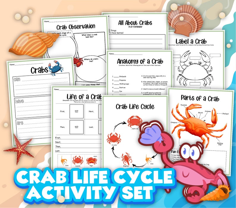 Crab Life Cycle, Crabs, All About Crabs, Instant Download, STEM ...