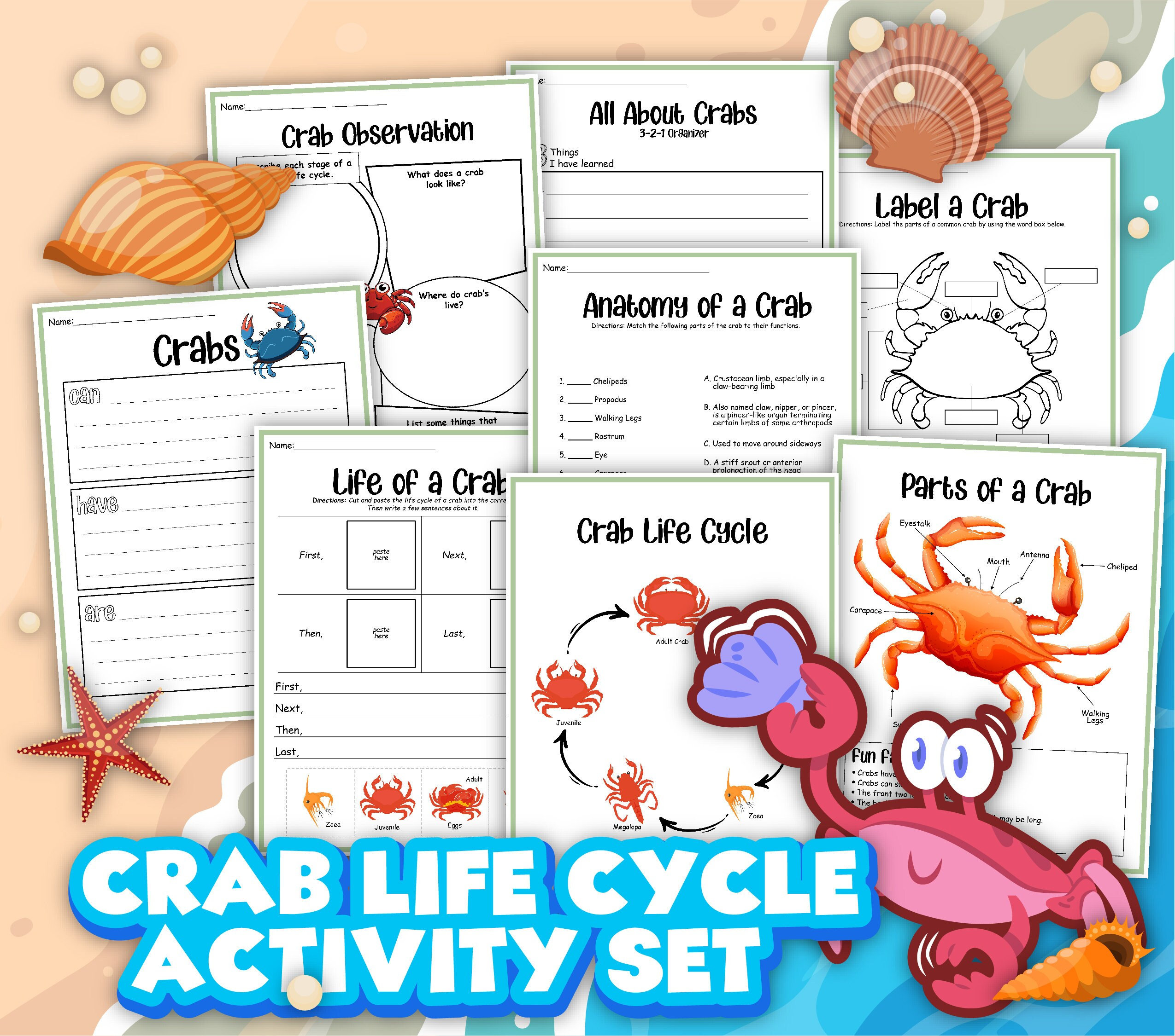Crab Life Cycle, Crabs, All About Crabs, Instant Download, STEM ...