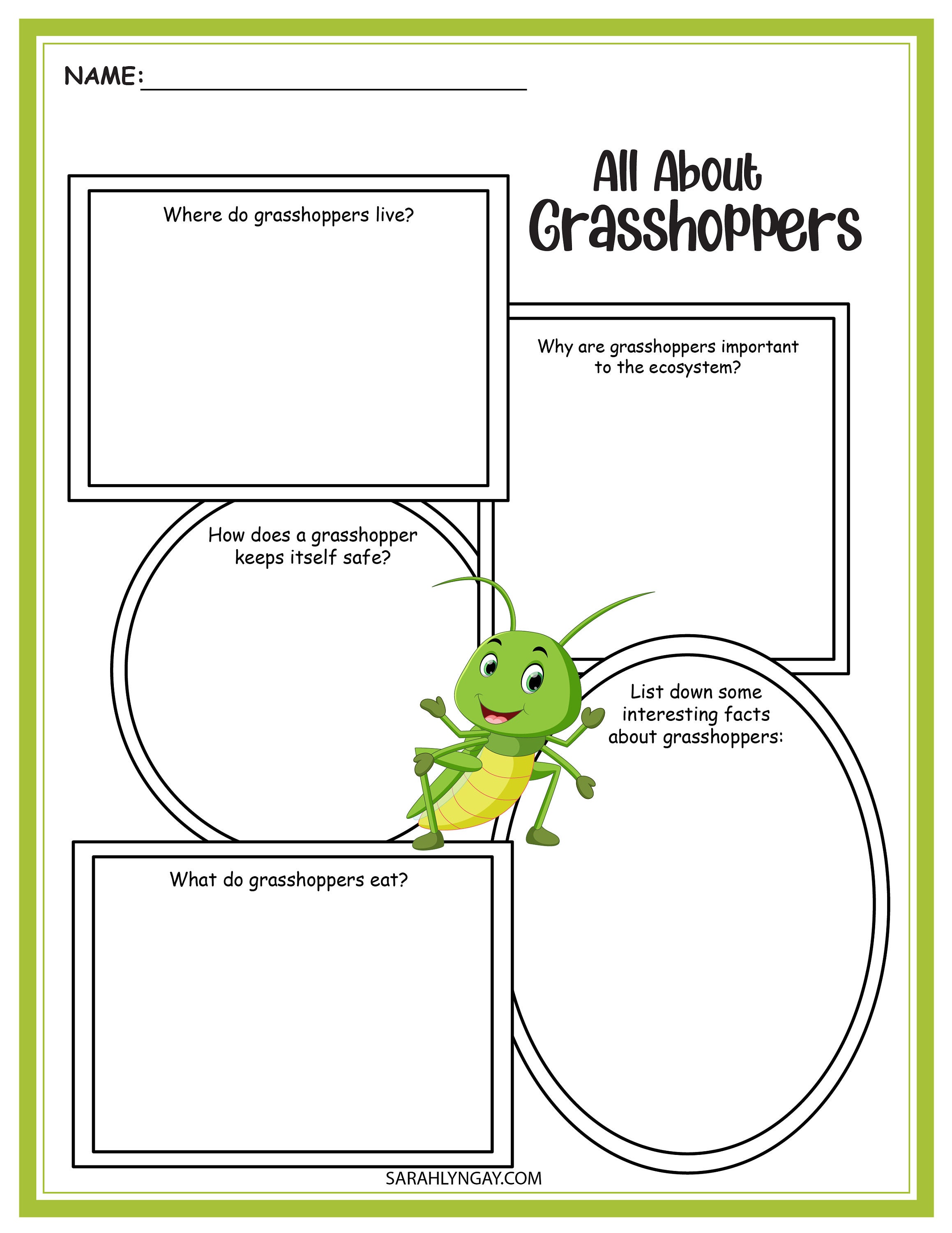 Grasshopper Activity Set, Grasshopper Lifecycle, Digital Download ...