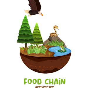 Food Chain Printable Set, Food Chain, Printable Download, Instant ...