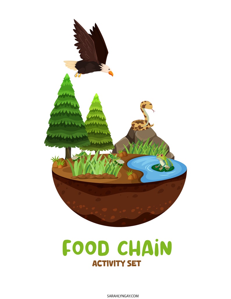 Food Chain Printable Set, Food Chain, Printable Download, Instant ...