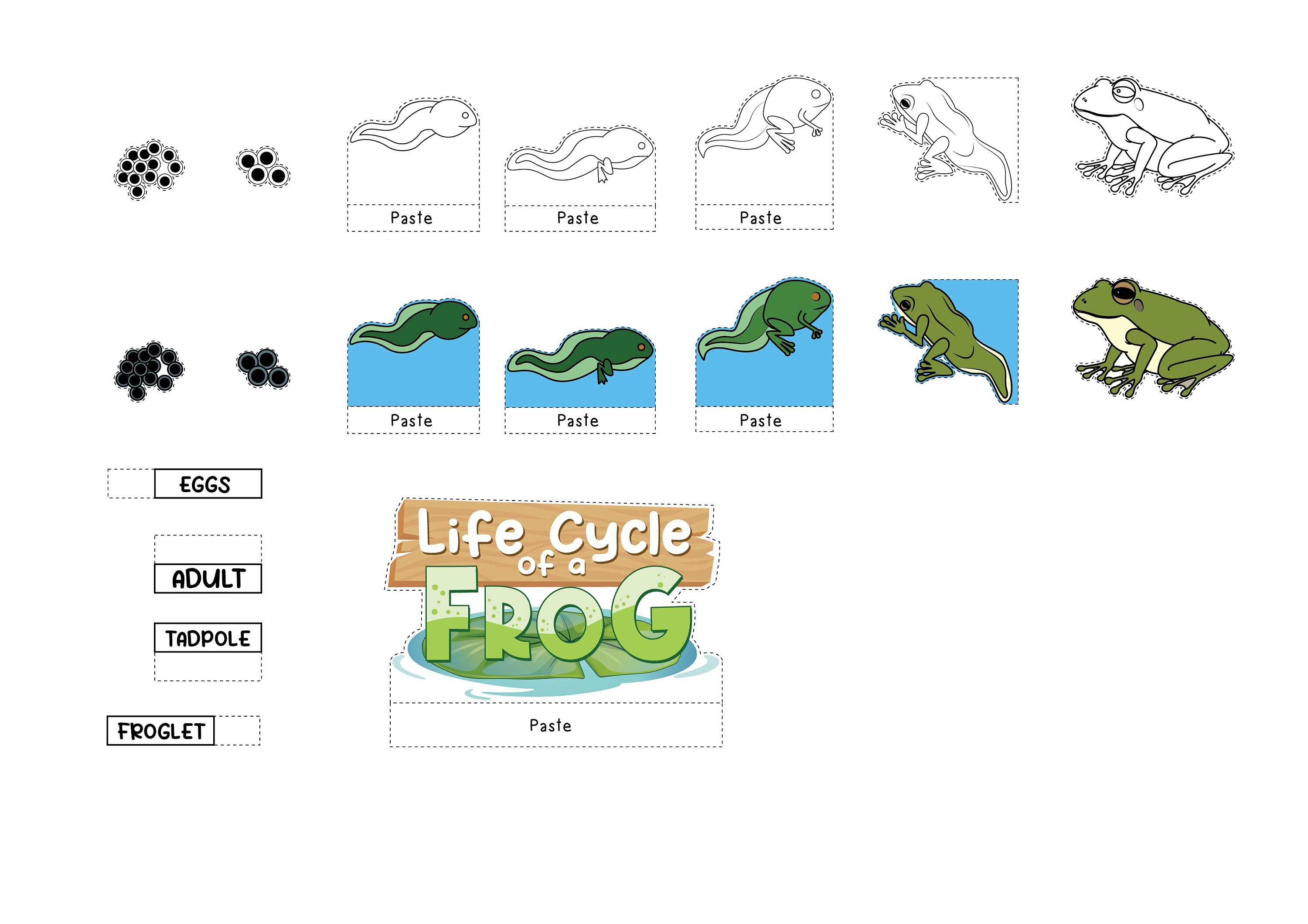 Frog 3D Life Cycle Diorama, Frogs, 3D Diorama, Life Cycle, Digital ...