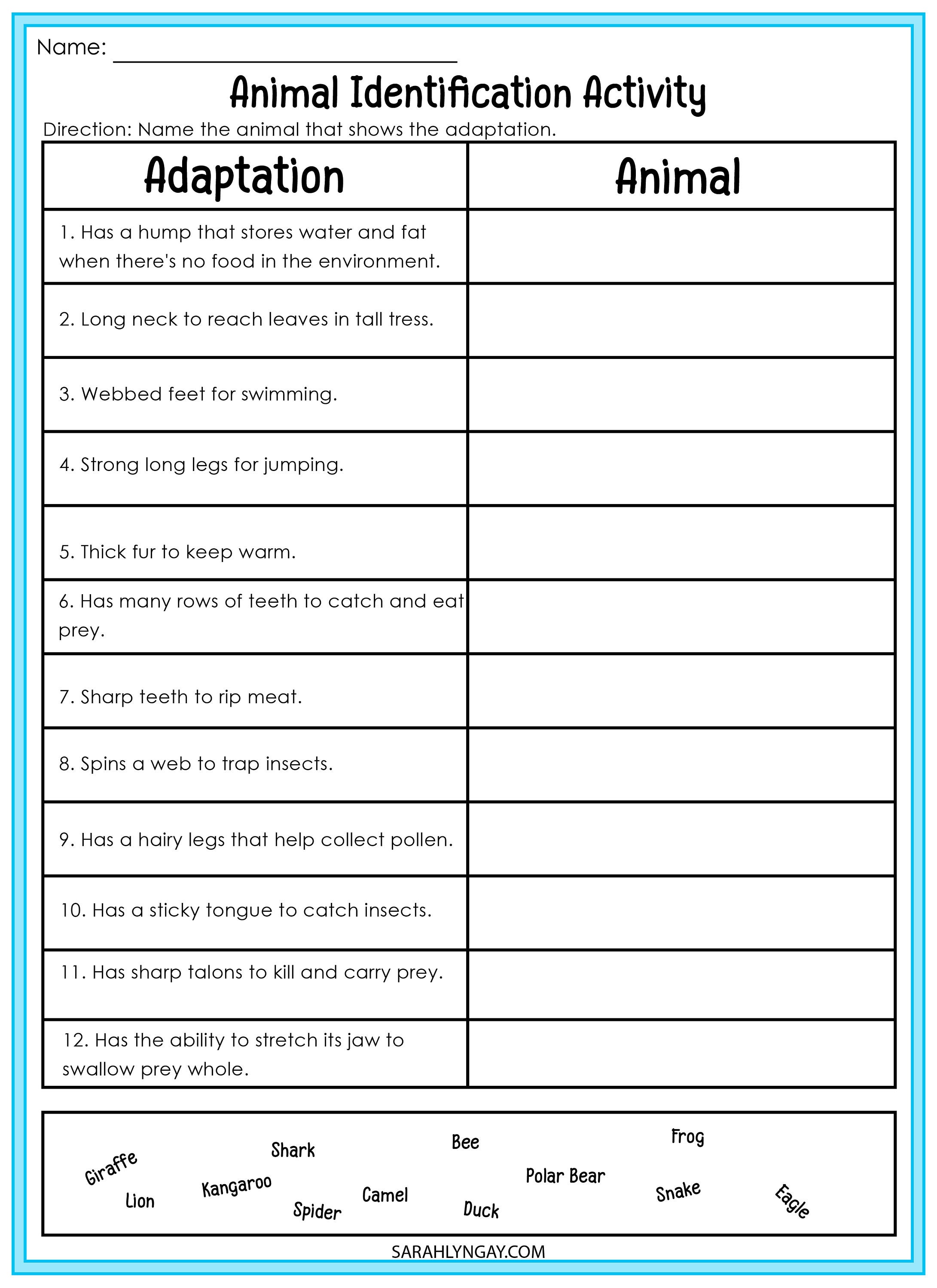 Animal Adaptions Printable Worksheets, STEM Workbook, Instant Download ...