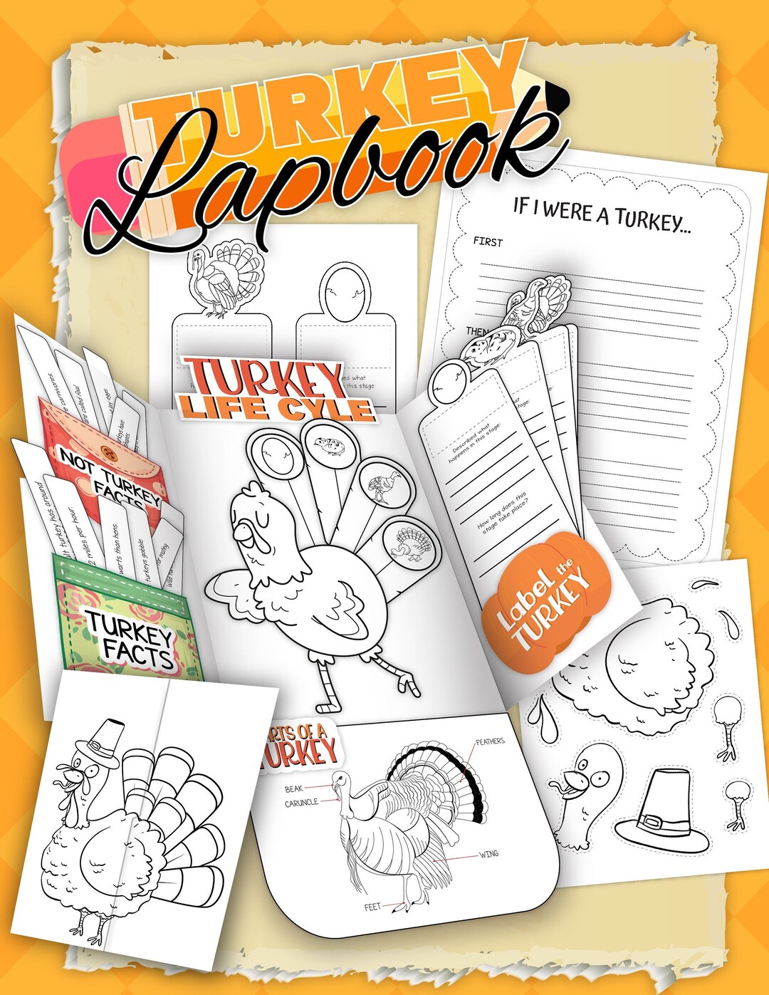 Turkey Lapbook Printable Set, Turkey, Lapbook, Digital Download ...