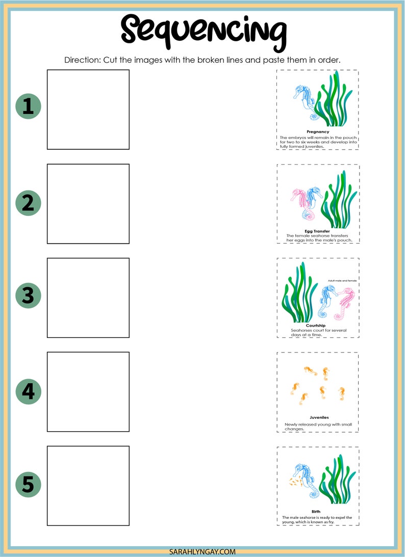 Seahorses Seahorse Lifecycle Seahorse Facts Digital - Etsy