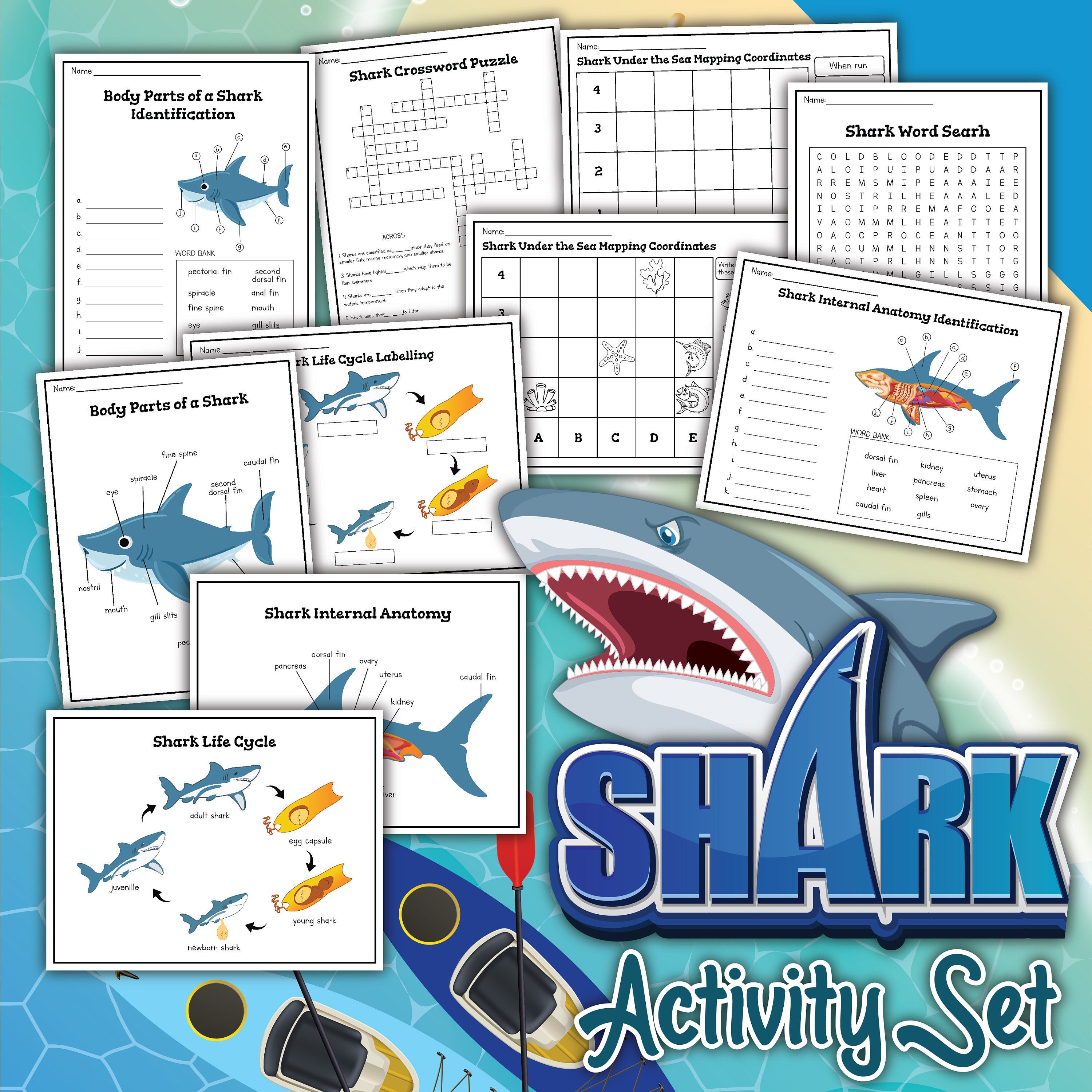 Shark Activity Set, Sharks, Digital Download, Printable Download ...