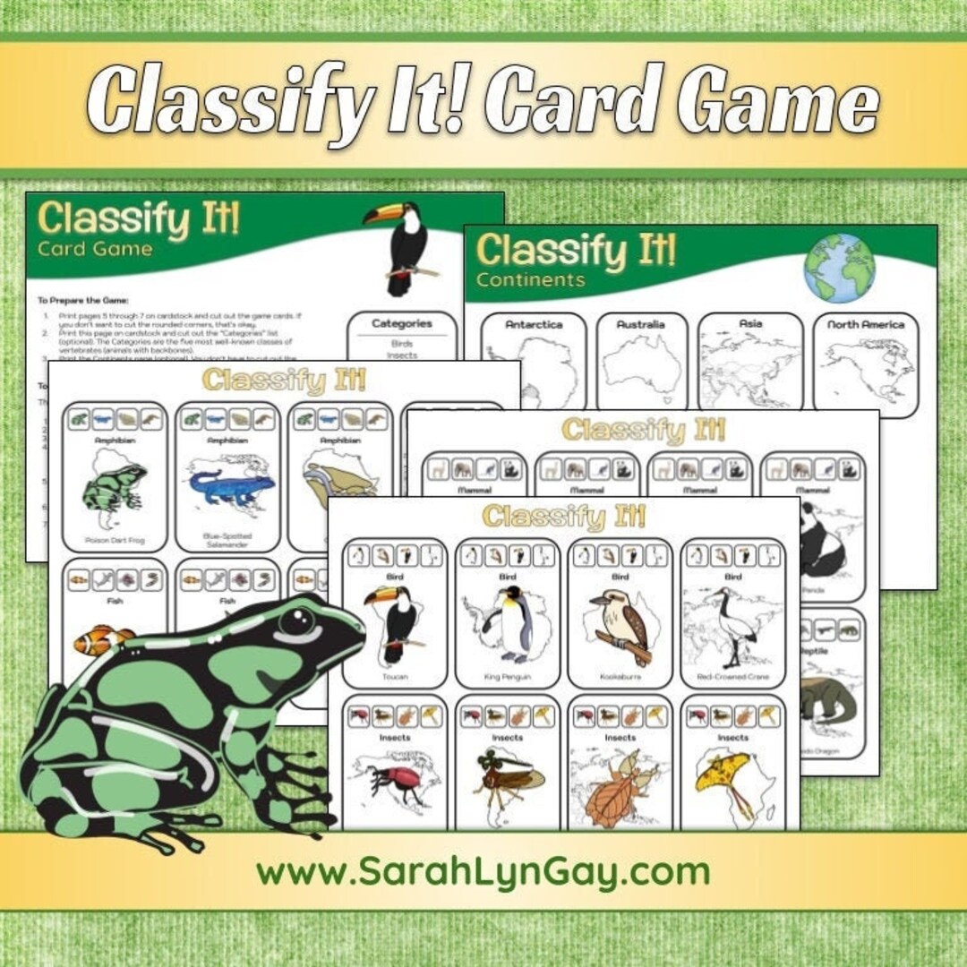 Classify It Card Game, Instant Download STEM Workbook, Digital Download ...