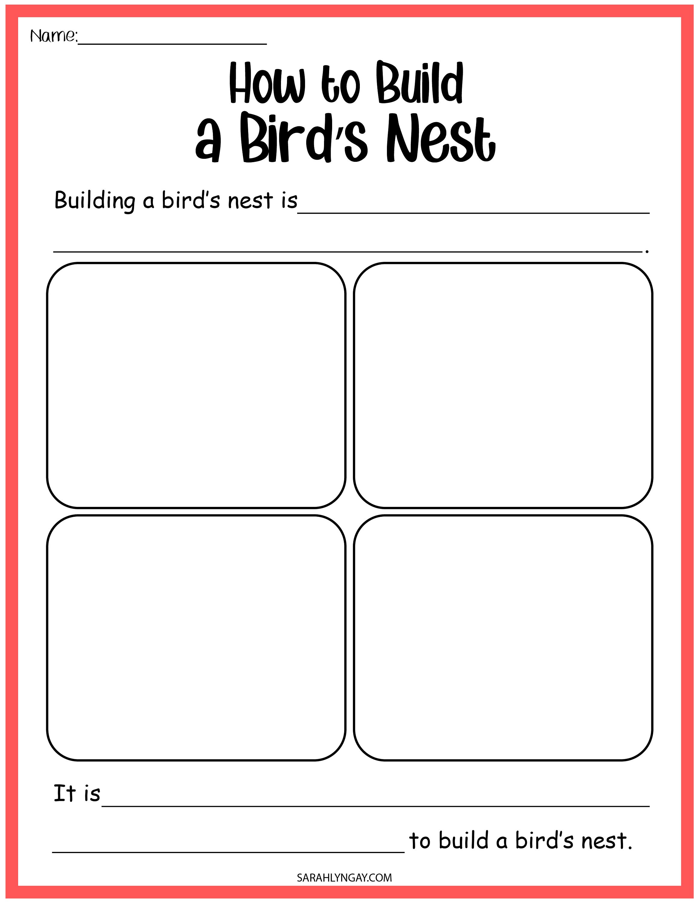 Bird Life Cycle, Birds, All About Birds, Instant Download, STEM ...