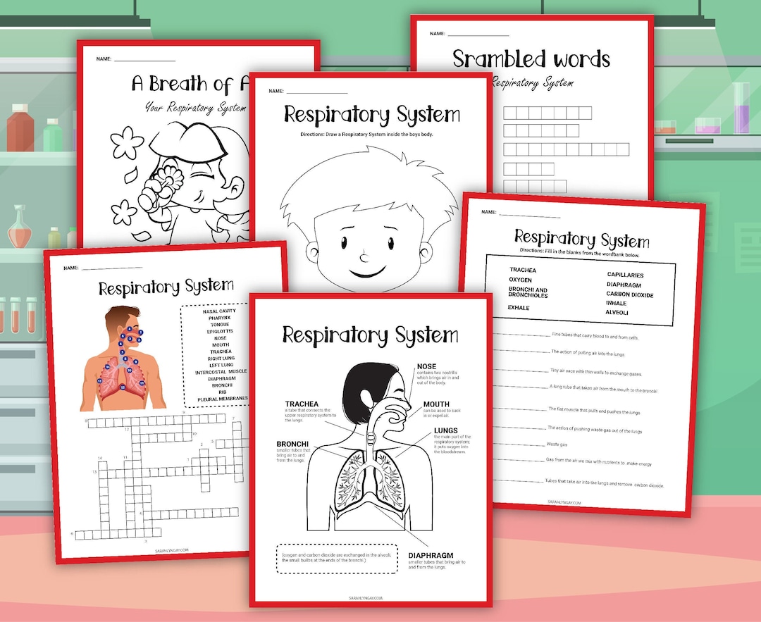 Respiratory System, Respiratory Function, Instant Download, Kid’s ...