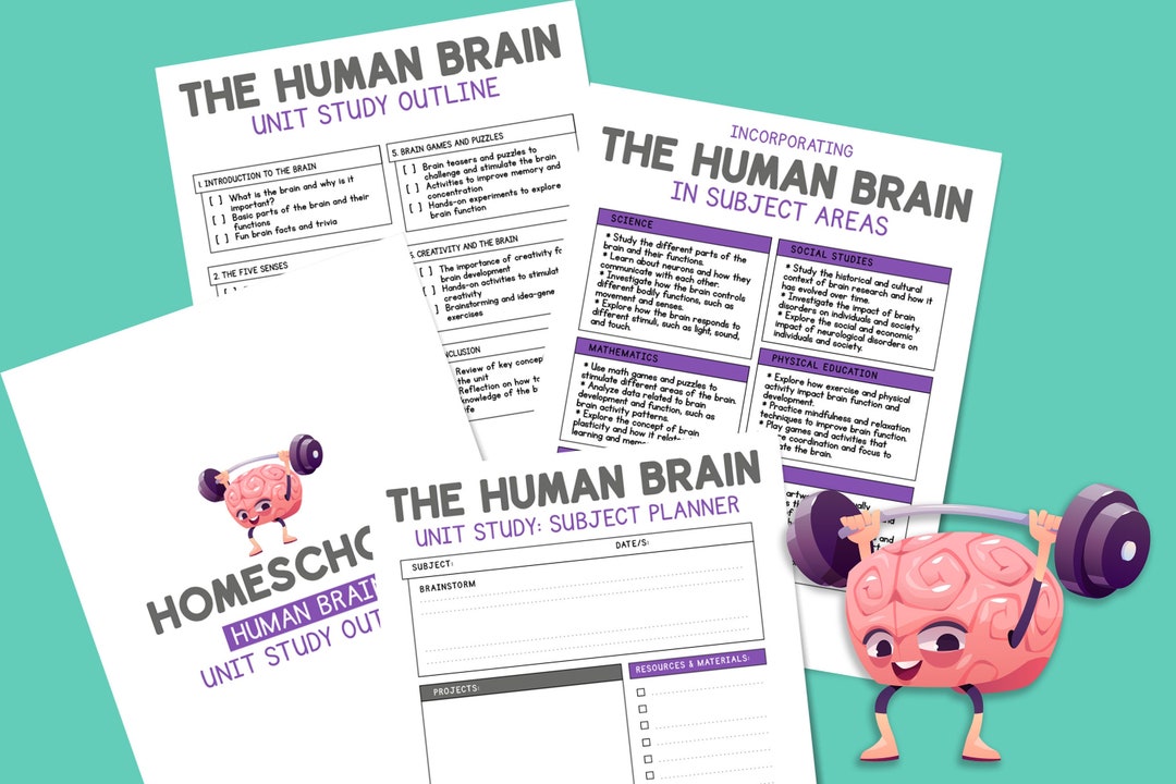 Homeschool Human Brain Unit Study Outline, Human Brain, Homeschool ...