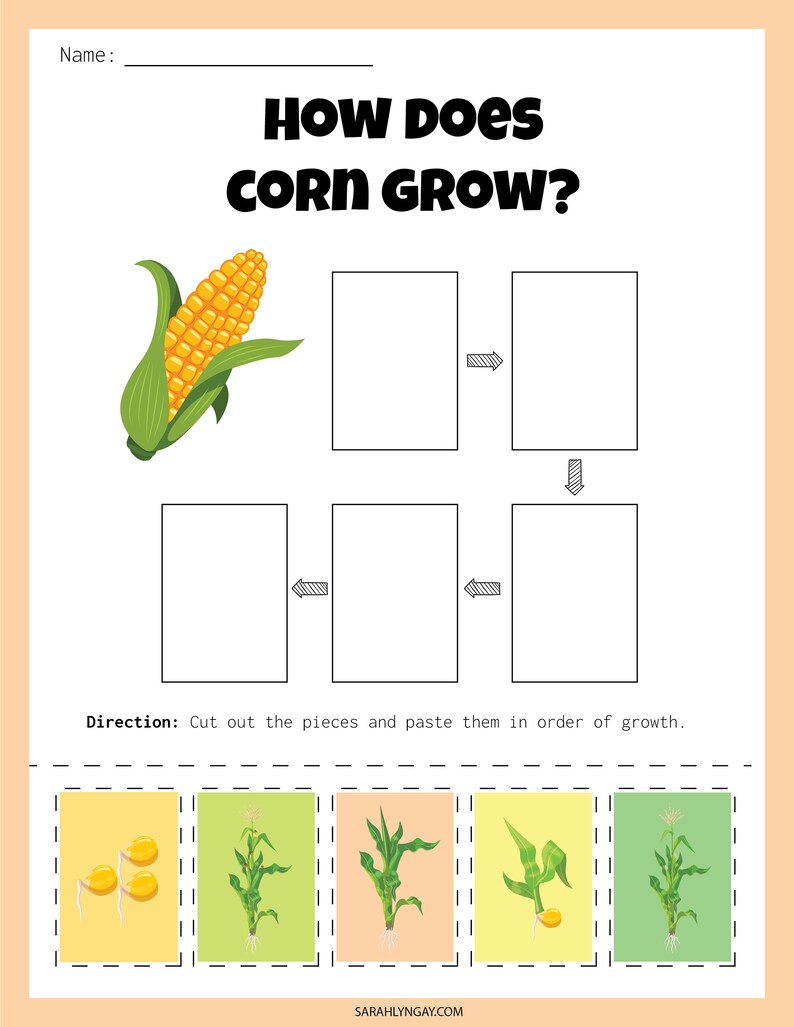 Corn Life Cycle Instant Download STEM Workbook Digital - Etsy