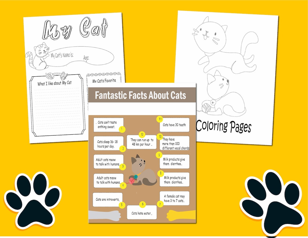 Cats, Cat Facts, Instant Download, Digital Download, Kids Worksheet ...