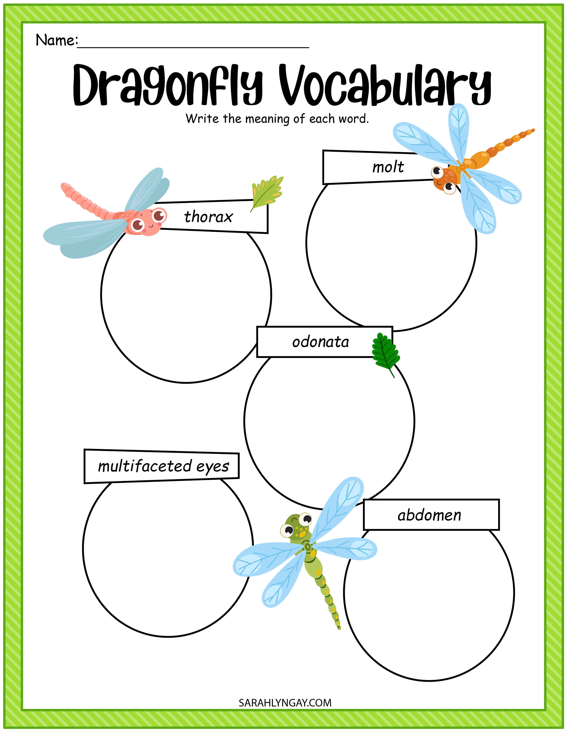 Dragonfly, Dragonfly Life Cycle, Instant Download, Digital Download ...
