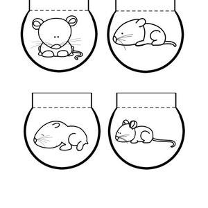 Mouse Lifecycle Lapbook, Mouse Lifecycle, Lapbook, Digital Download ...