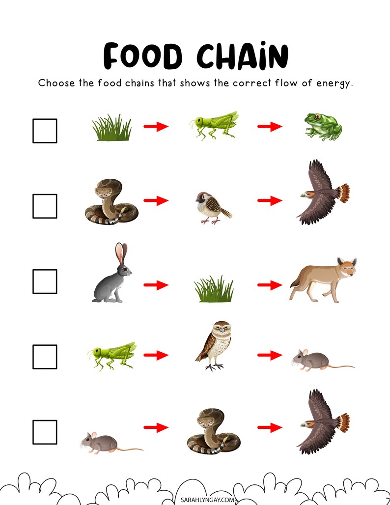 Food Chain Printable Set, Food Chain, Printable Download, Instant ...
