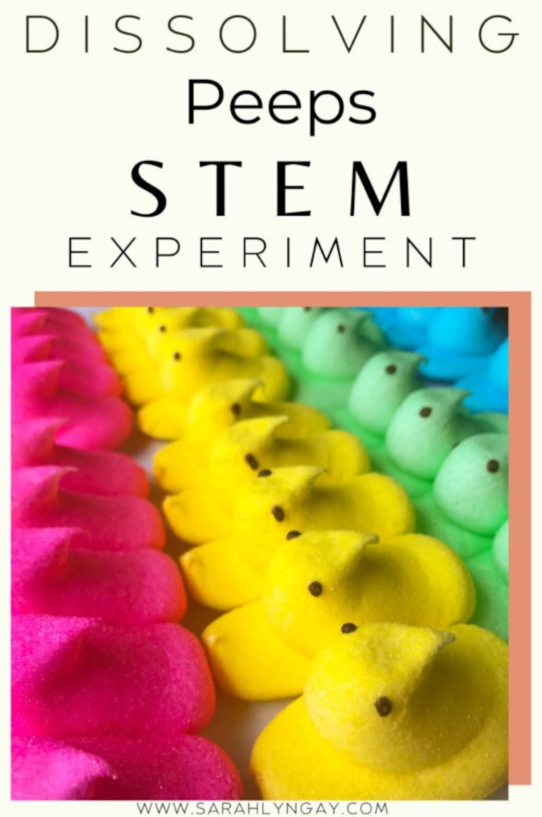 Dissolving Peeps Stem Experiment, Dissolving Peeps, STEM Experiment ...