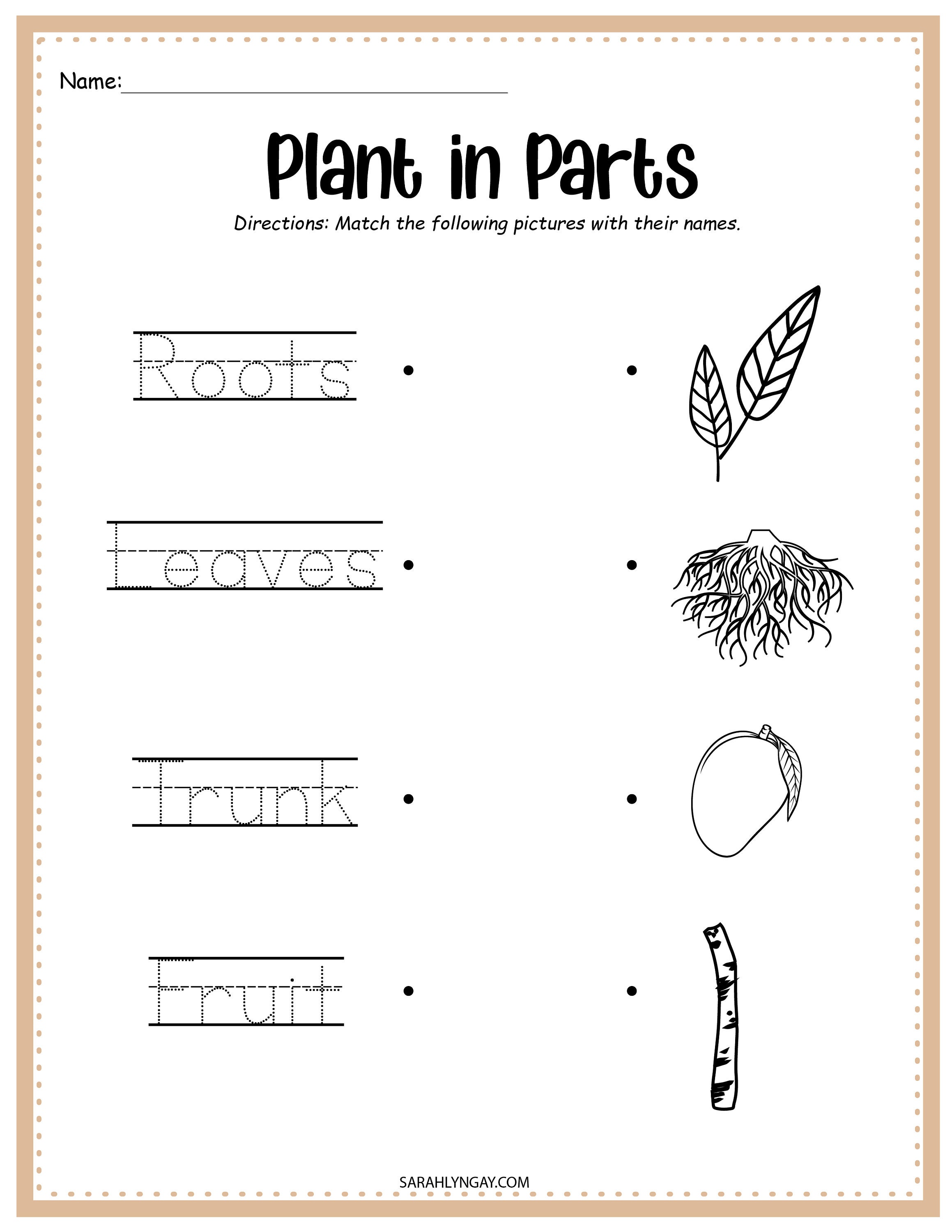 Tree Life Cycle, Trees, Instant Download, Digital Download, Kid’s ...