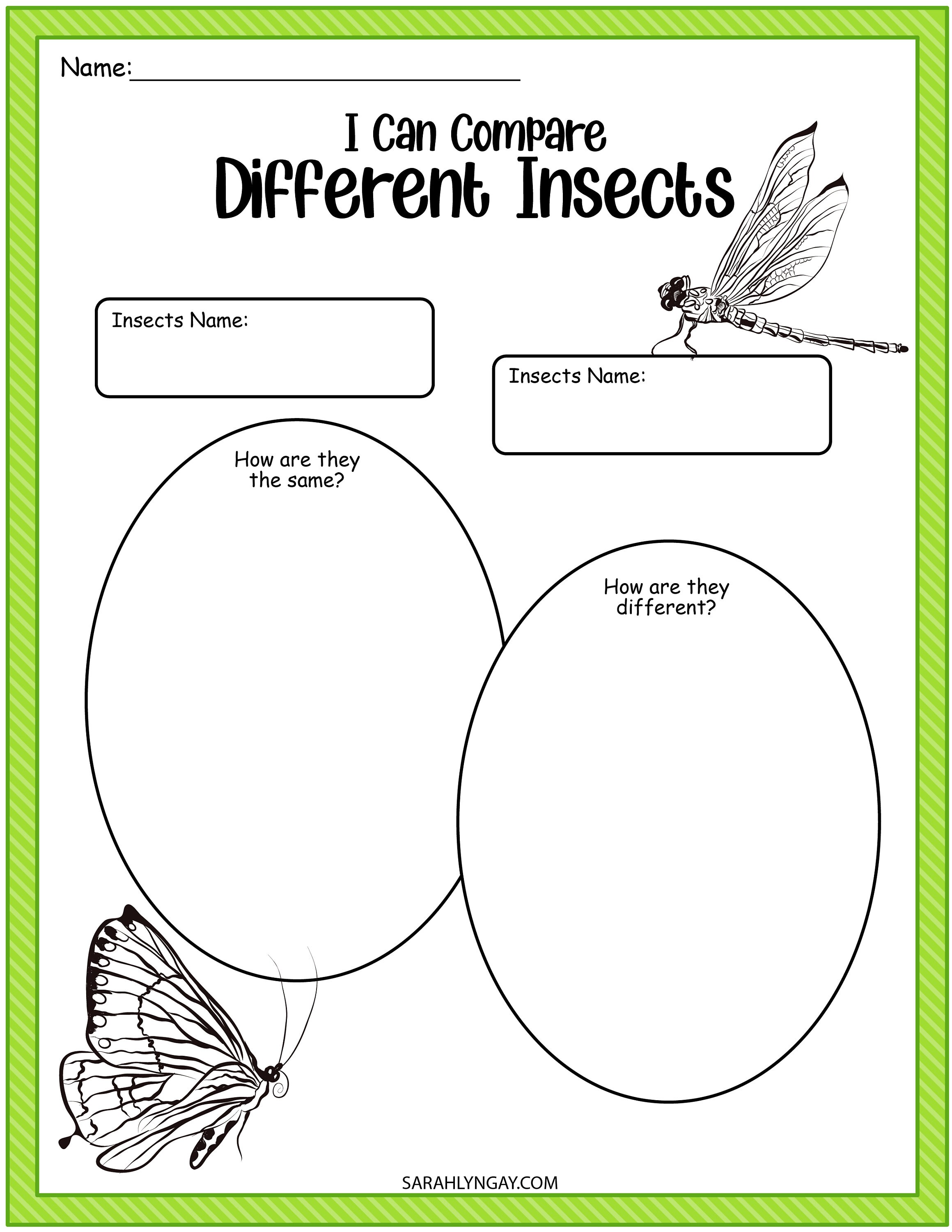 Dragonfly, Dragonfly Life Cycle, Instant Download, Digital Download ...