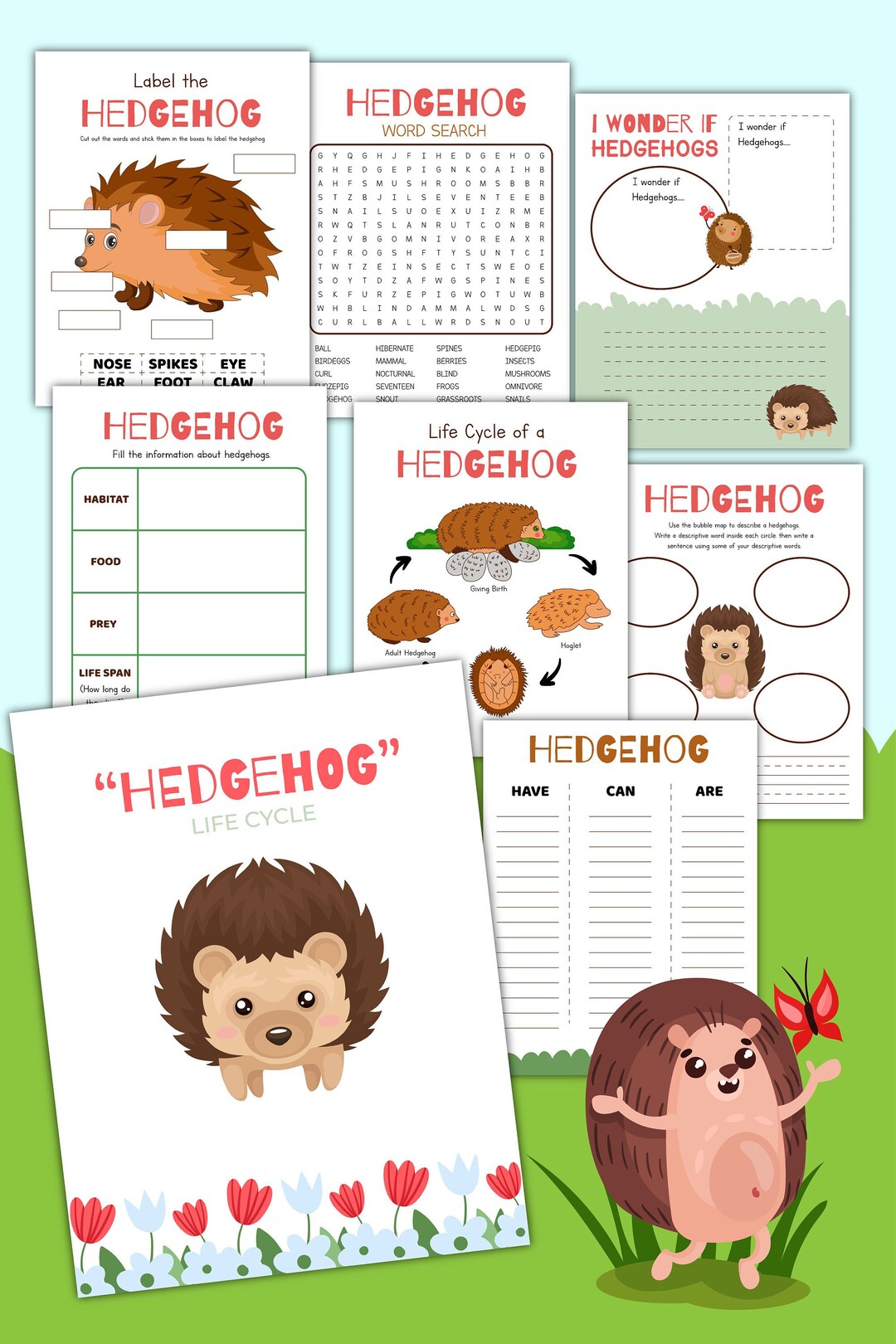 Lifecycle of the Hedgehog, Hedgehog Printable Set, Instant Download ...