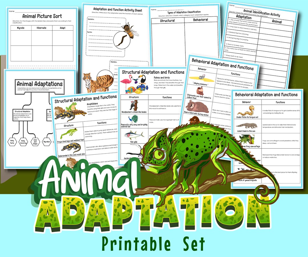 Animal Adaptions Printable Worksheets, STEM Workbook, Instant Download ...
