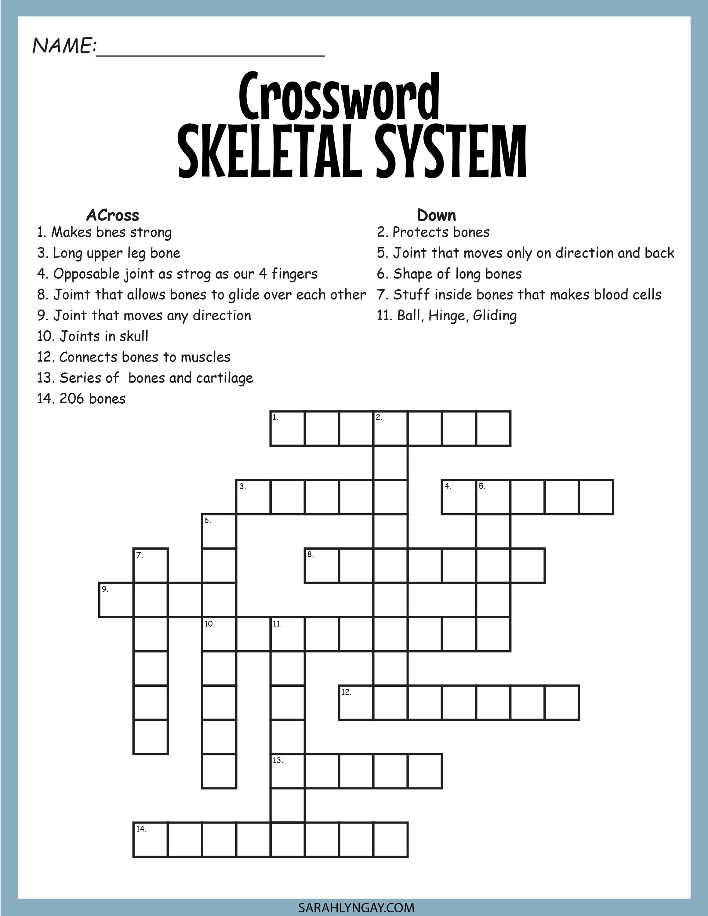 Skeletal System, Skeleton, Human Skeleton, Digital Download, Instant ...