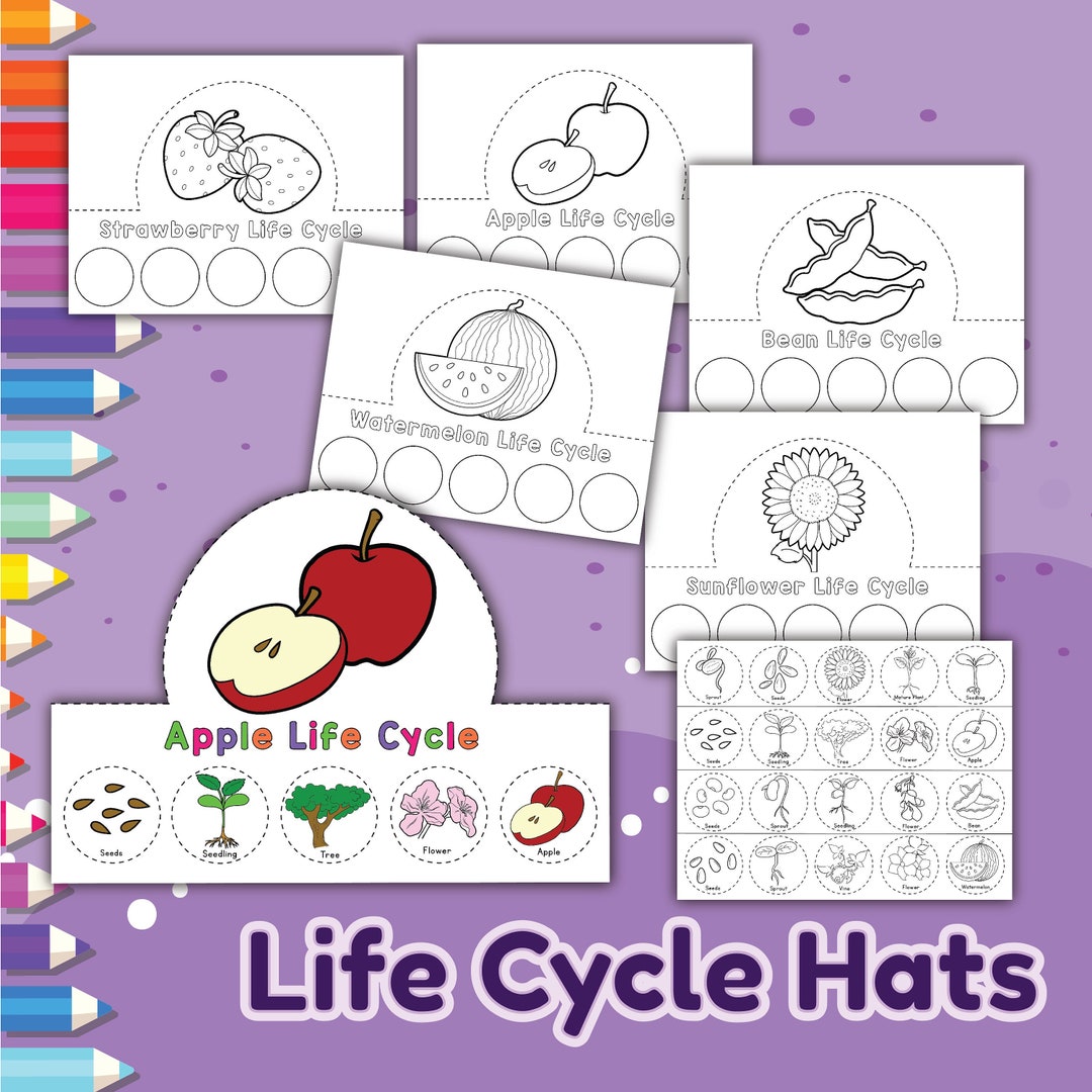 Plant Life Cycle Hats, Plant Life, Plants, Digital Download, Instant ...