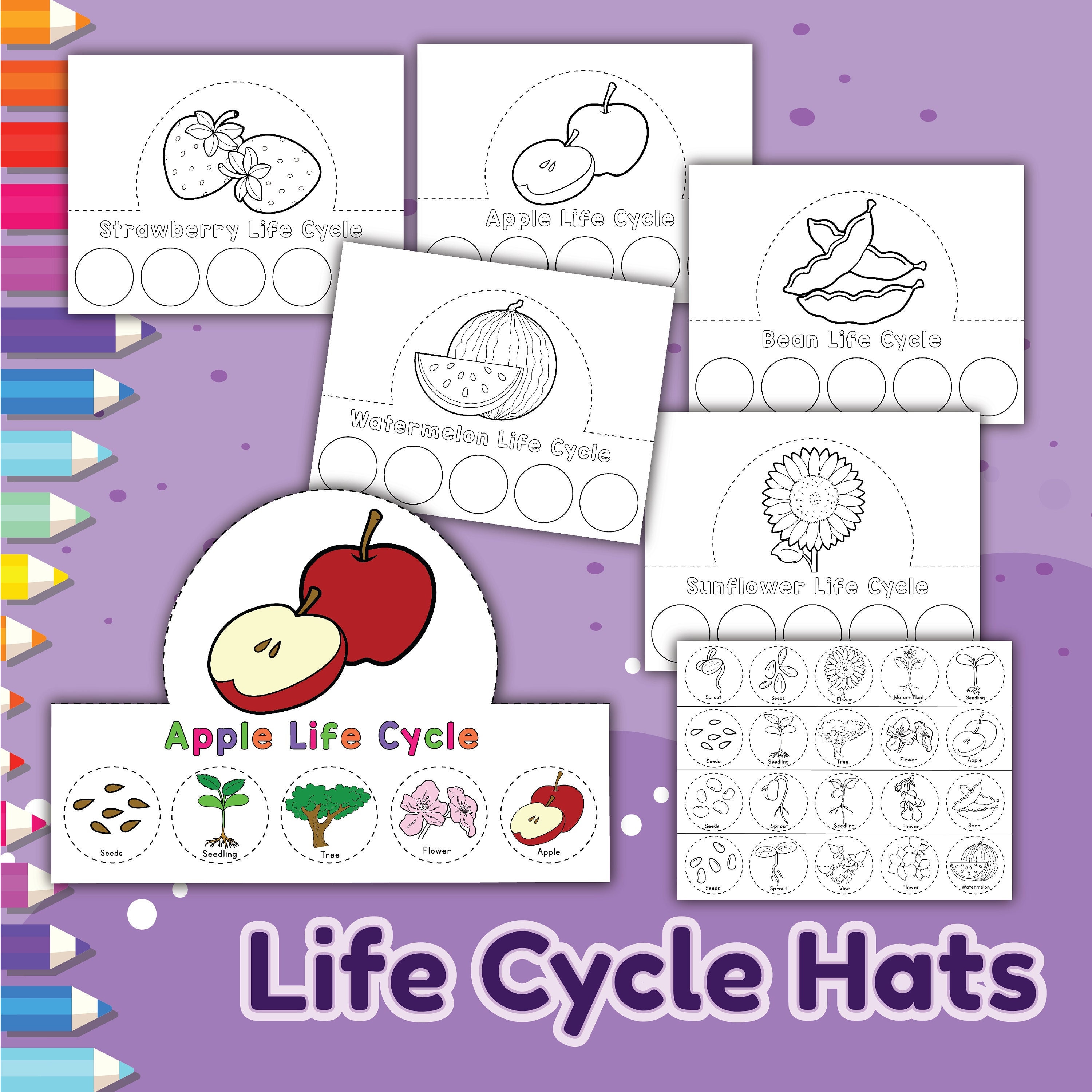 Plant Life Cycle Hats, Plant Life, Plants, Digital Download, Instant ...
